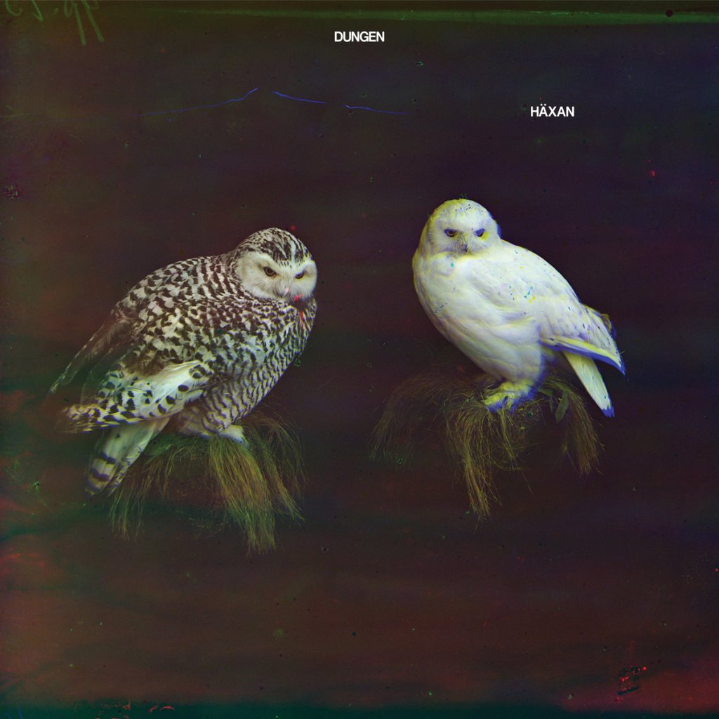 Contemporary Swedish Psychedelia | GLOBAL PSYCHEDELIA