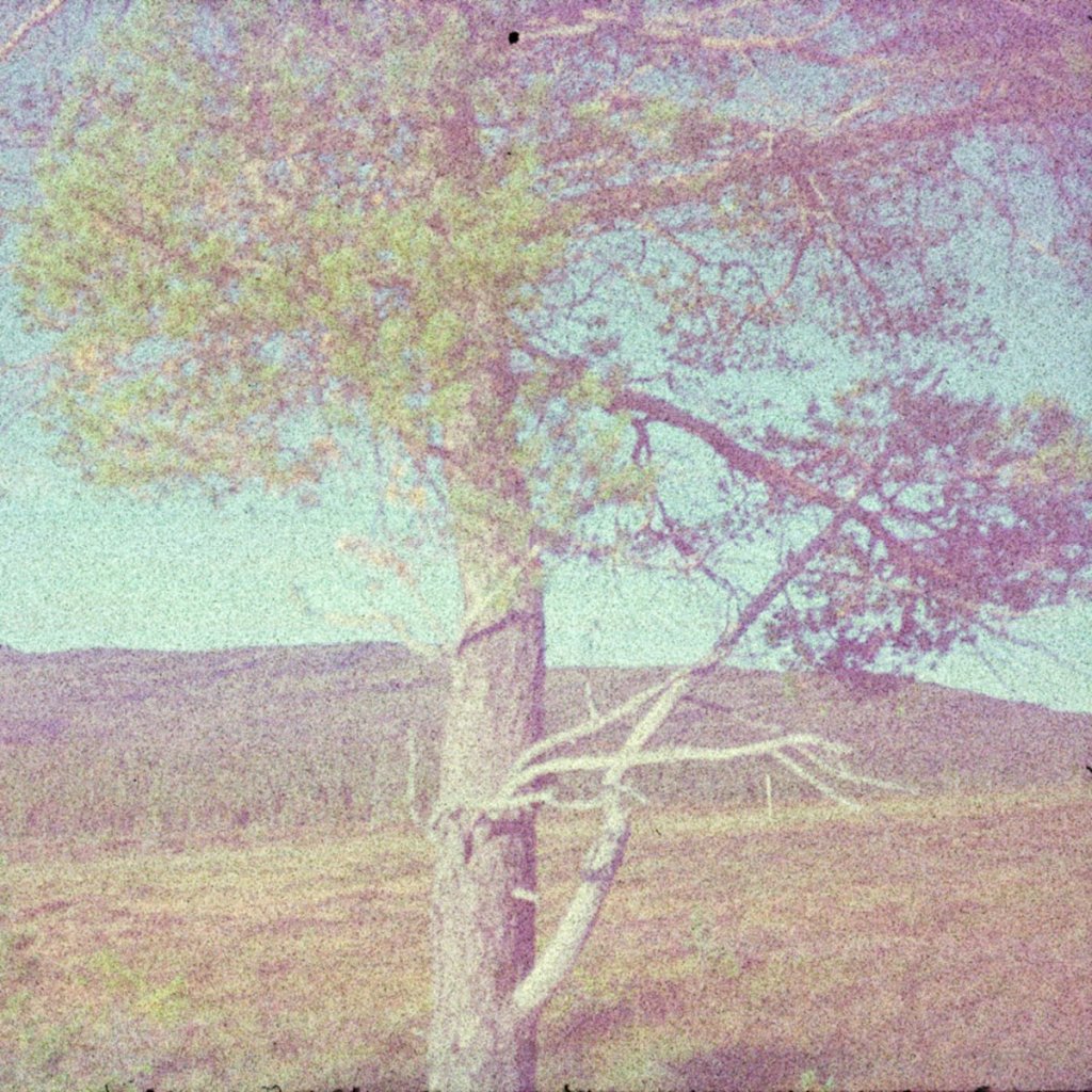 Contemporary Swedish Psychedelia | GLOBAL PSYCHEDELIA