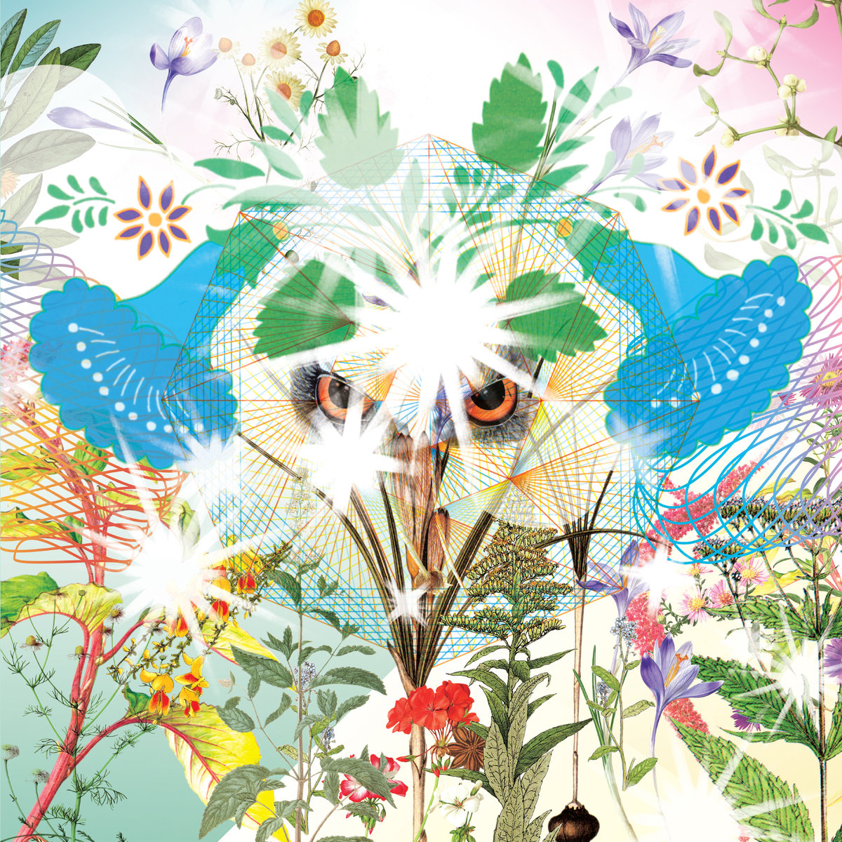 WOMEN OF PSYCHEDELIA I | GLOBAL PSYCHEDELIA